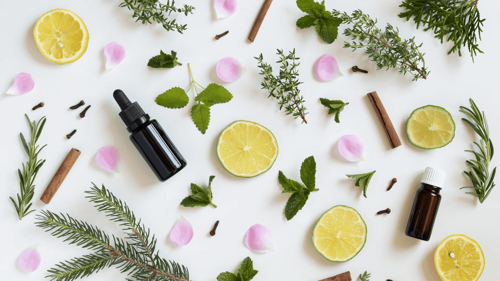 Doterra Essential Oils - A Natural Path to Wellness – Green Shop Online