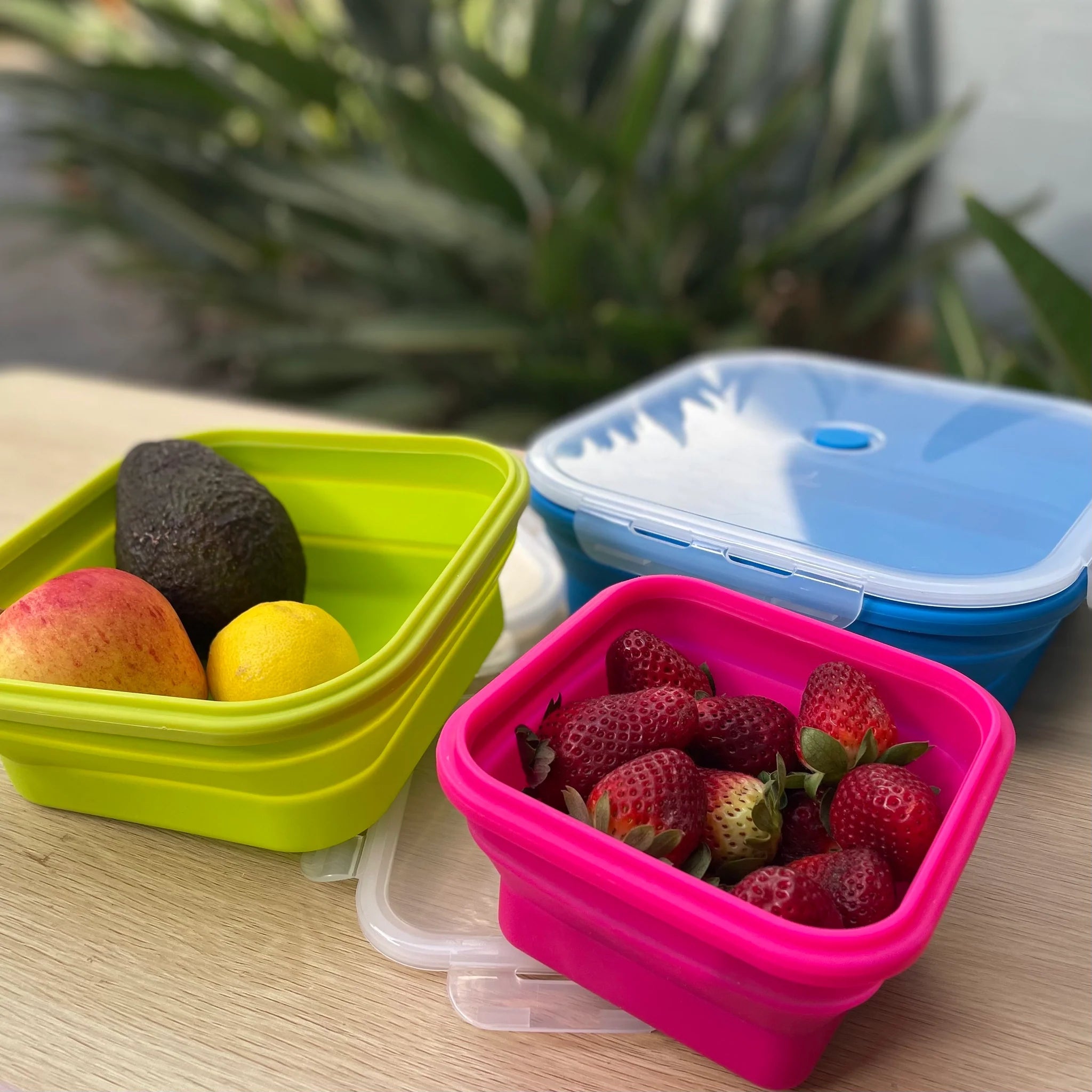 Food Storage | Reusable Silicone Food Storage Products | Green Shop